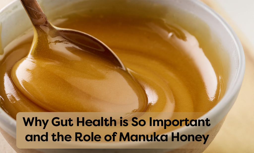 Why Gut Health is So Important and the Role of Manuka Honey - Manuka ...